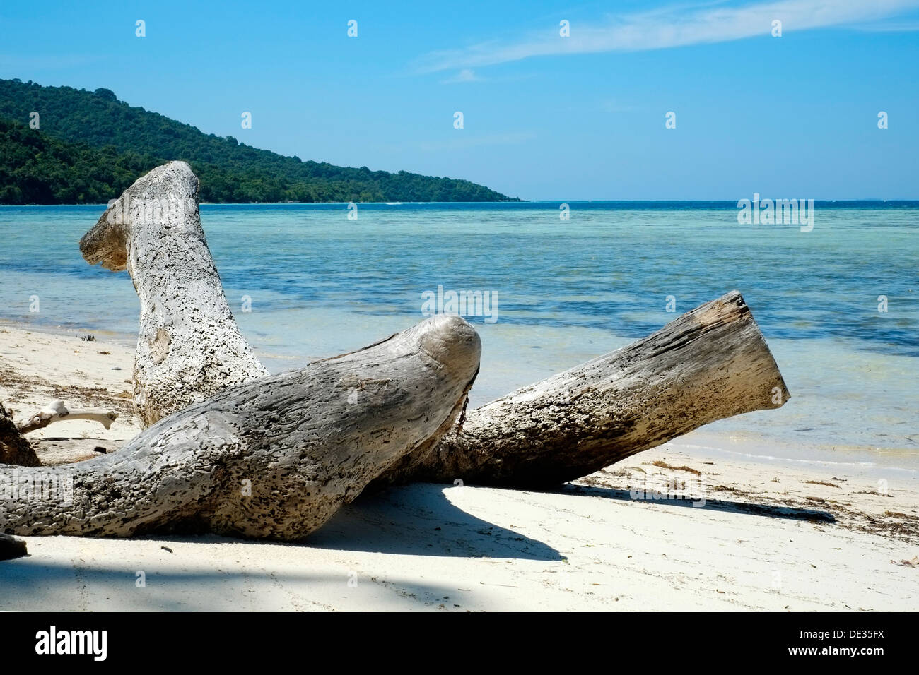 deserted pristine beach and crystal clear waters of karimunjawa island ...