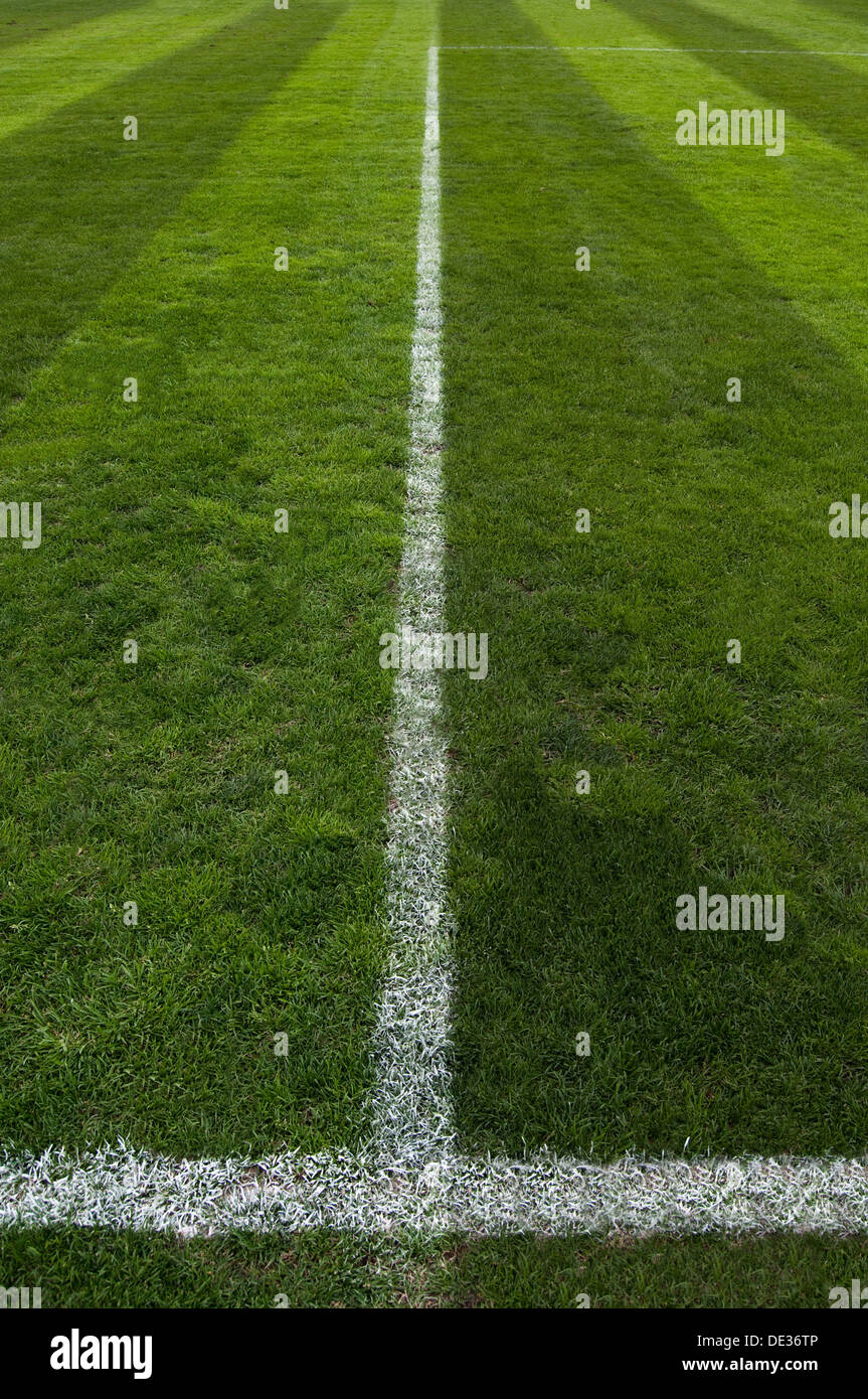 White line on the green grass of a soccer field Stock Photo - Alamy