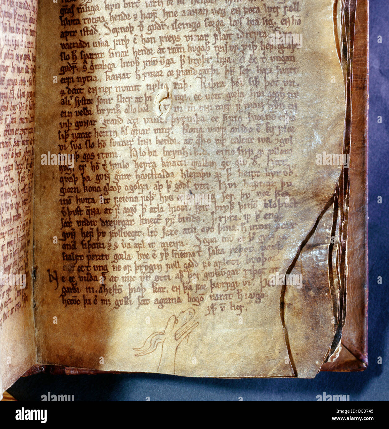 Codex Regius High Resolution Stock Photography and Images - Alamy