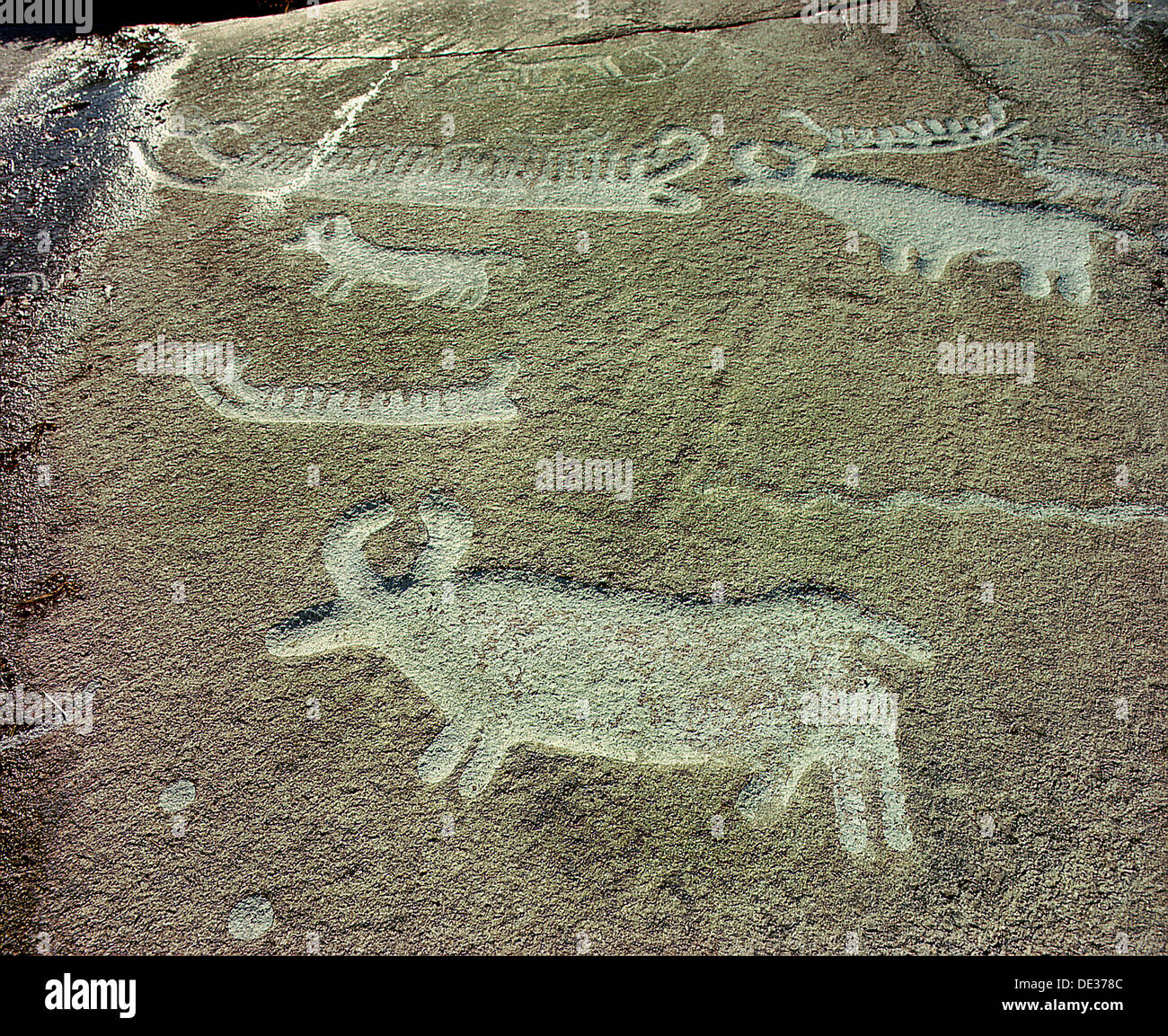 Bronze age rock carving viking hi-res stock photography and images - Alamy