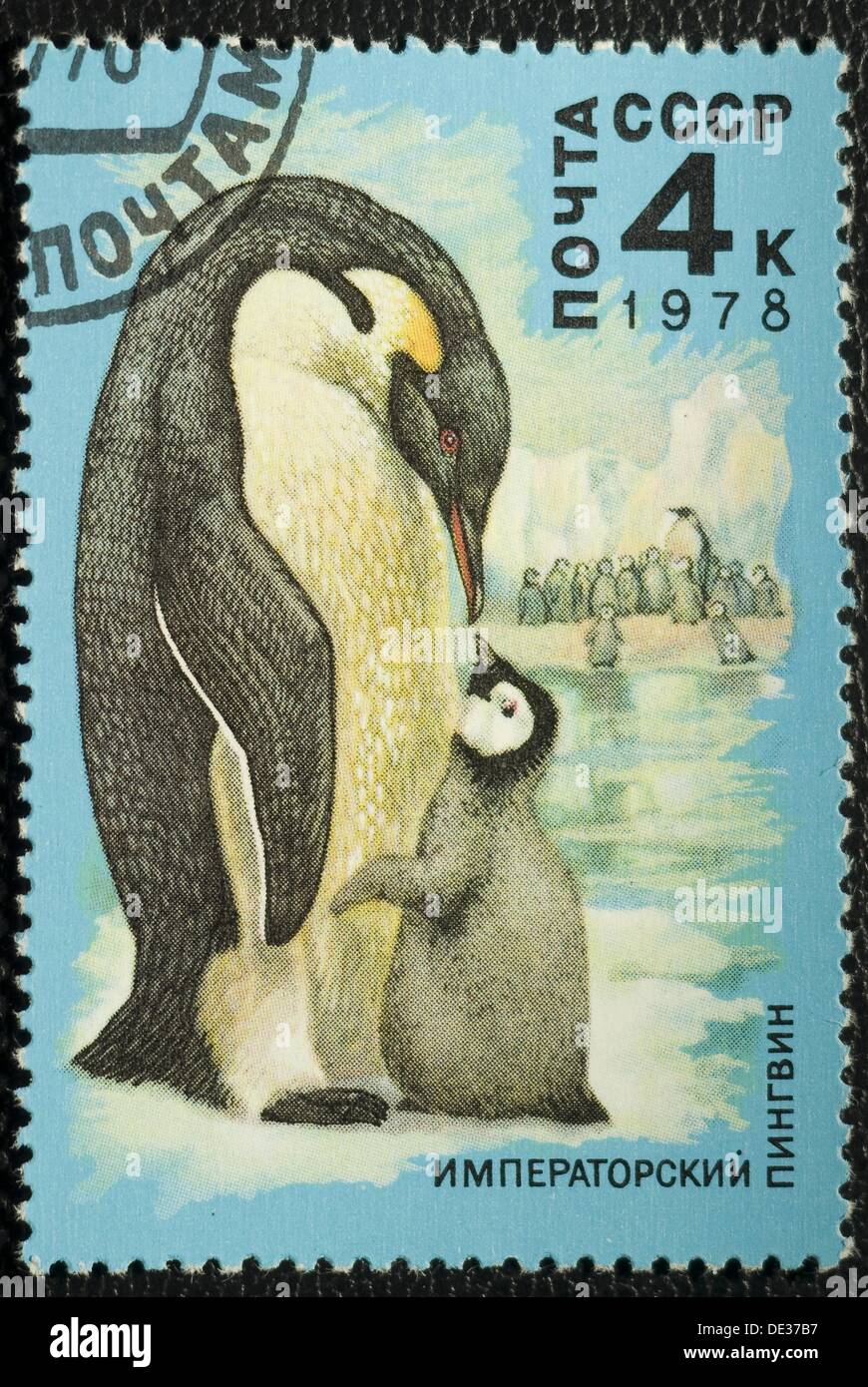 Penguin Stamp High Resolution Stock Photography and Images - Alamy