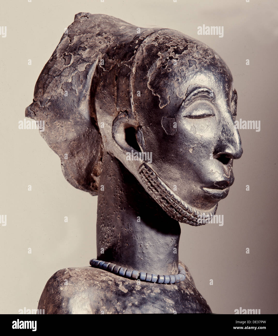 Ancestor of hi-res stock photography and images - Alamy