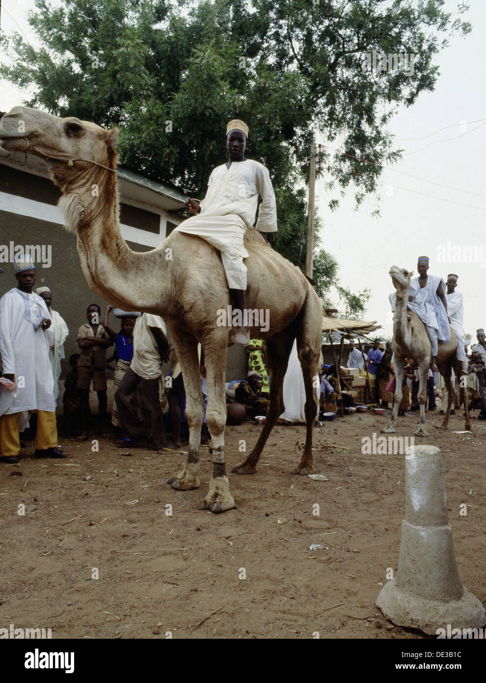 Trans Saharan Trade High Resolution Stock Photography and Images - Alamy
