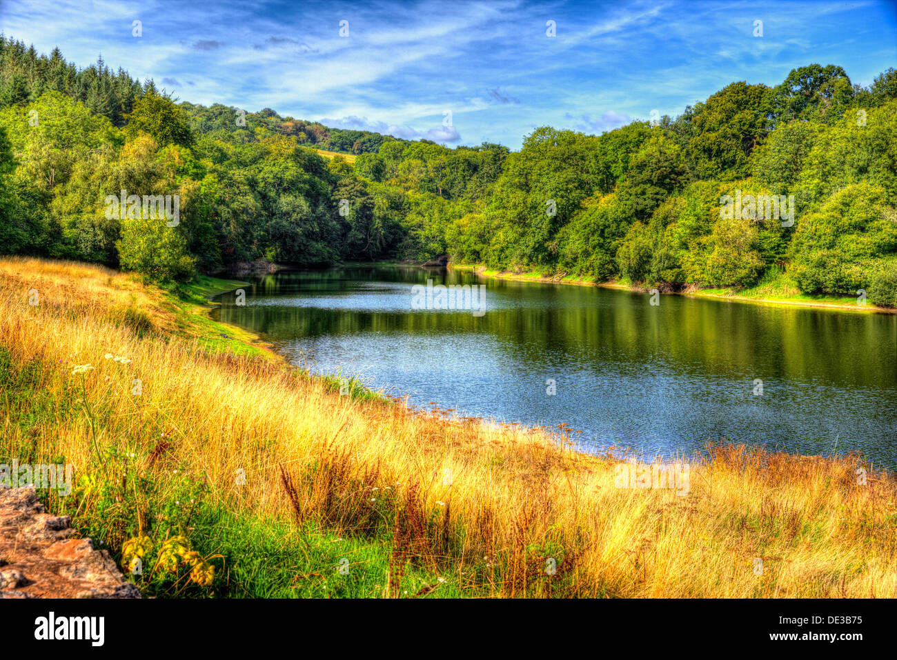 Hawkridge reservoir Quantock Hills Somerset known for trout fishing in ...
