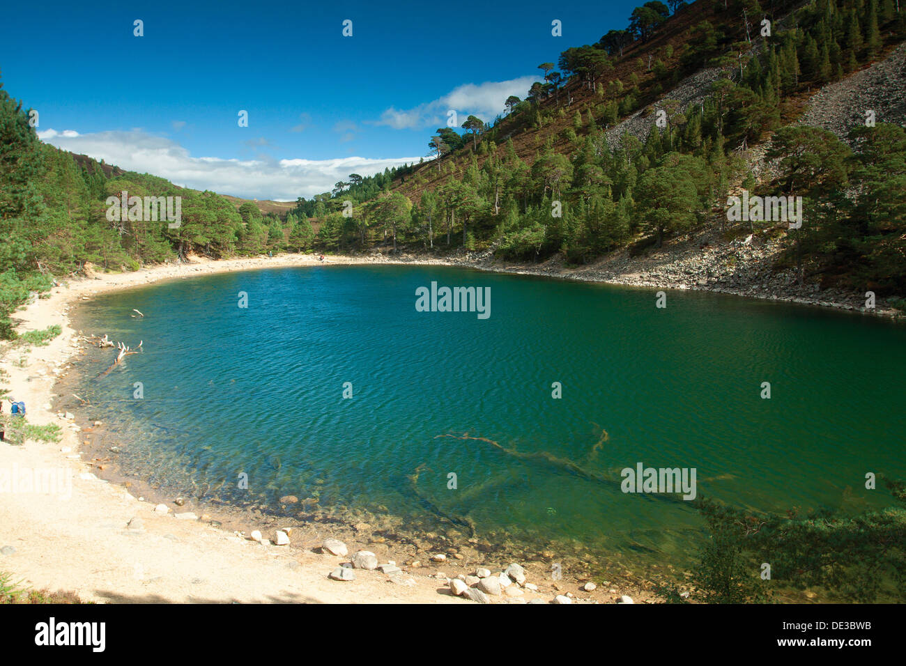 An Lochan Uaine, The Green Lochan, Glen More, Aviemore, Cairngorm Stock ...