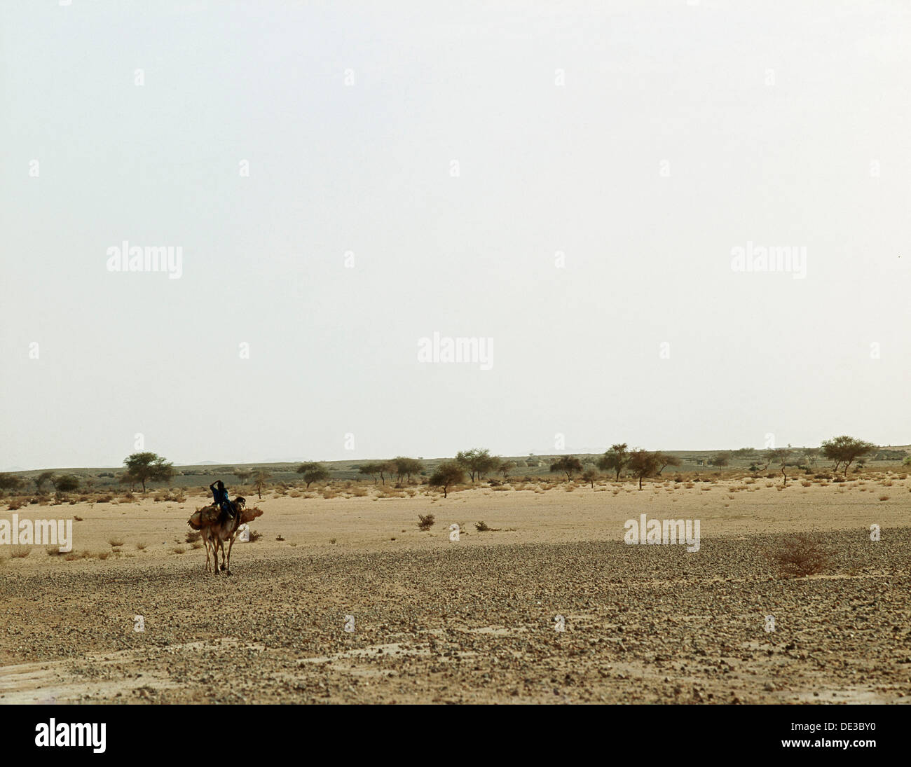 Nomadic sahel sahara niger hi-res stock photography and images - Alamy