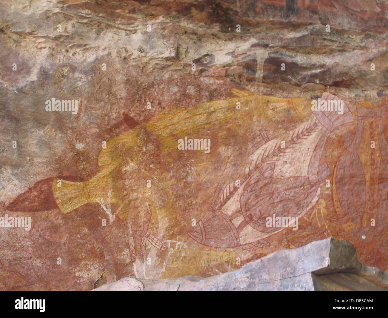 Aboriginal dreamtime fish hi-res stock photography and images - Alamy
