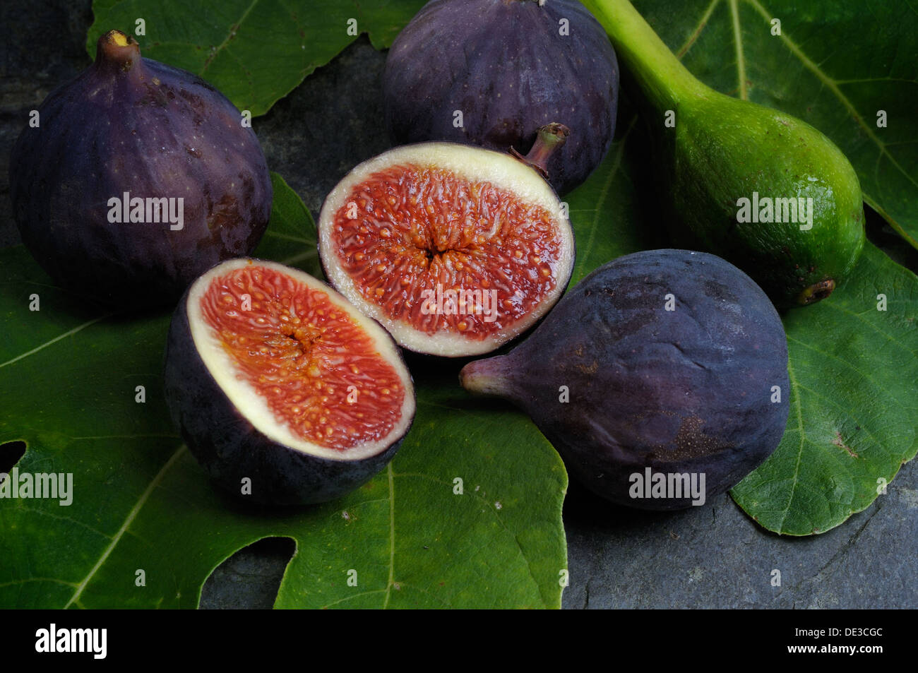 Fig cut in half on leaves and slate Stock Photo - Alamy