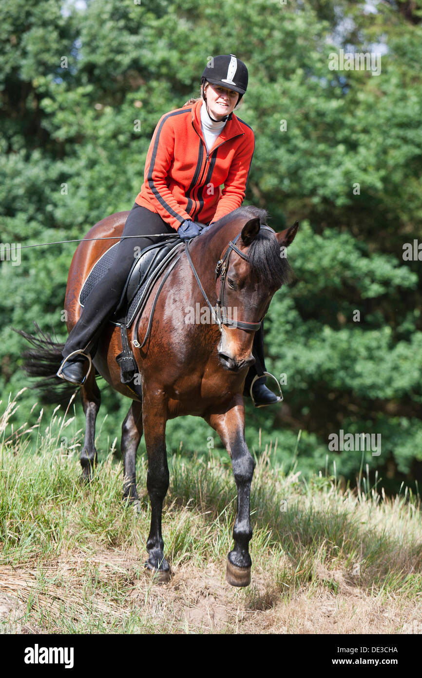 Woman rider cross-country ride riding down slope Stock Photo - Alamy