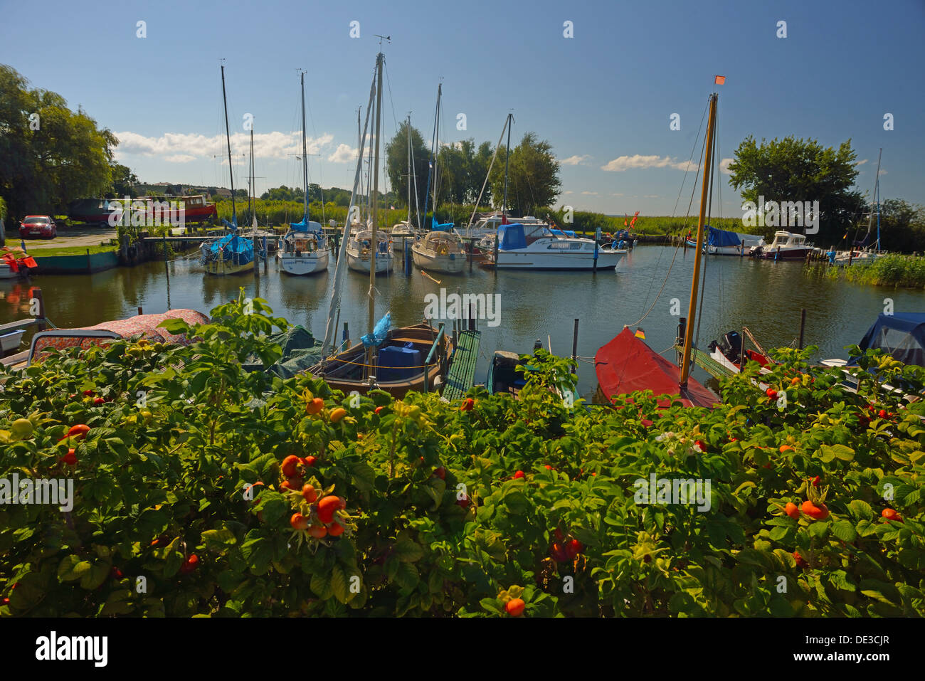 Natural harbour at Loddin, Usedom Island, Germany Stock Photo - Alamy