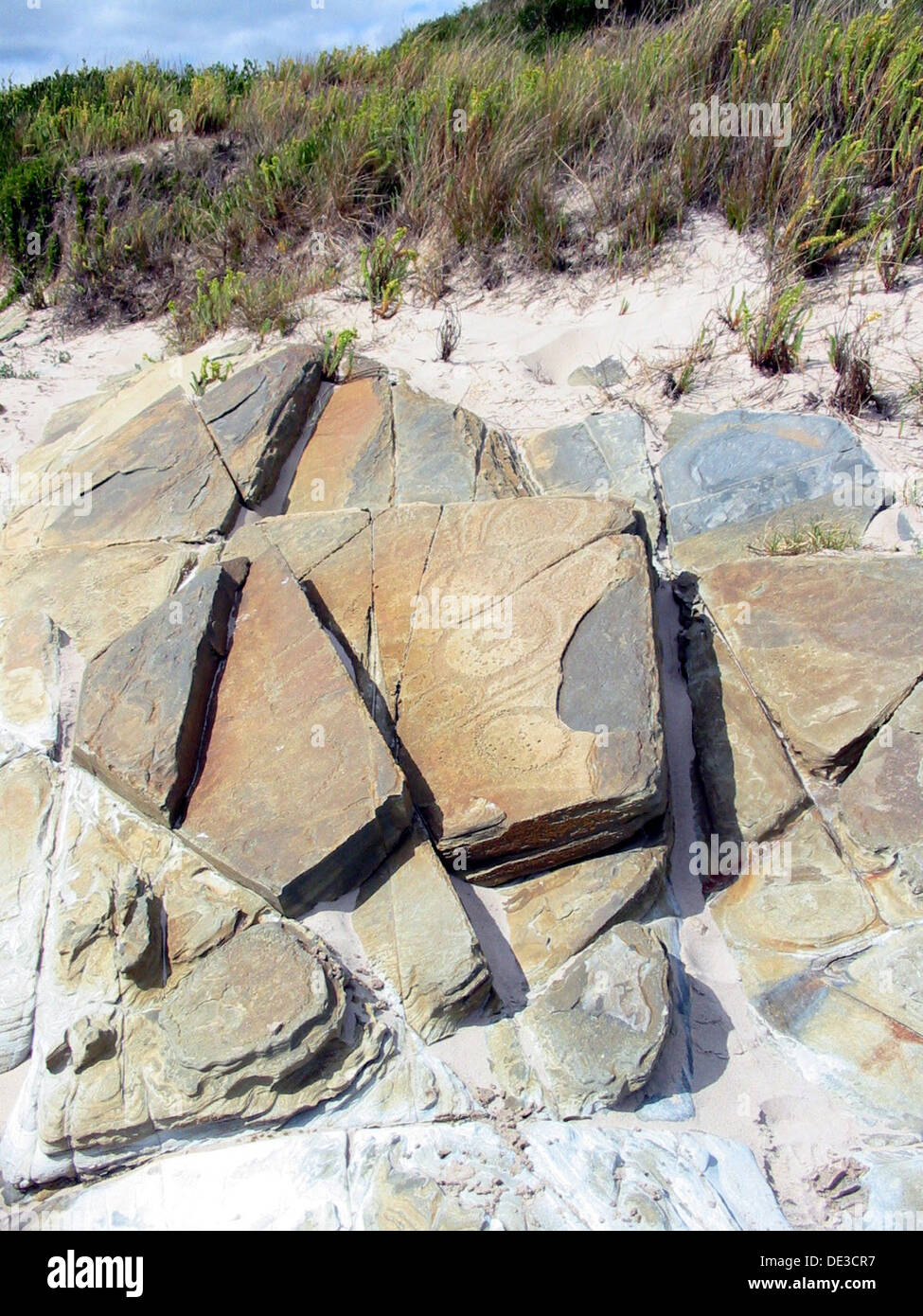 Aboriginal Rock Carvings High Resolution Stock Photography and Images ...