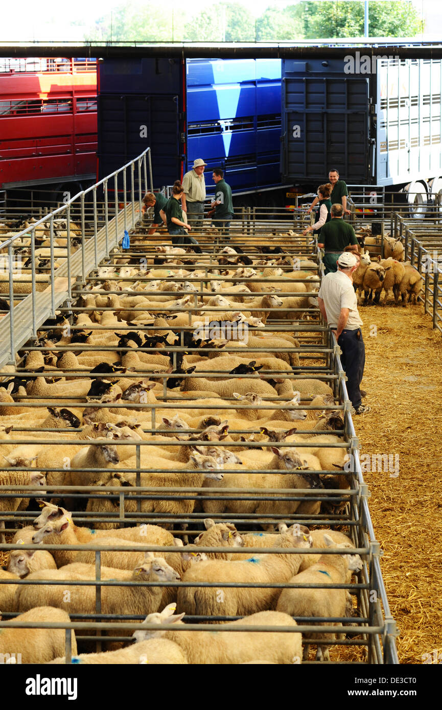 Melton mowbray market hi-res stock photography and images - Alamy