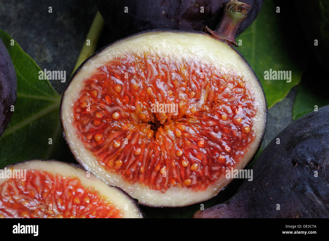 Fig cut in half on leaves and slate Stock Photo - Alamy
