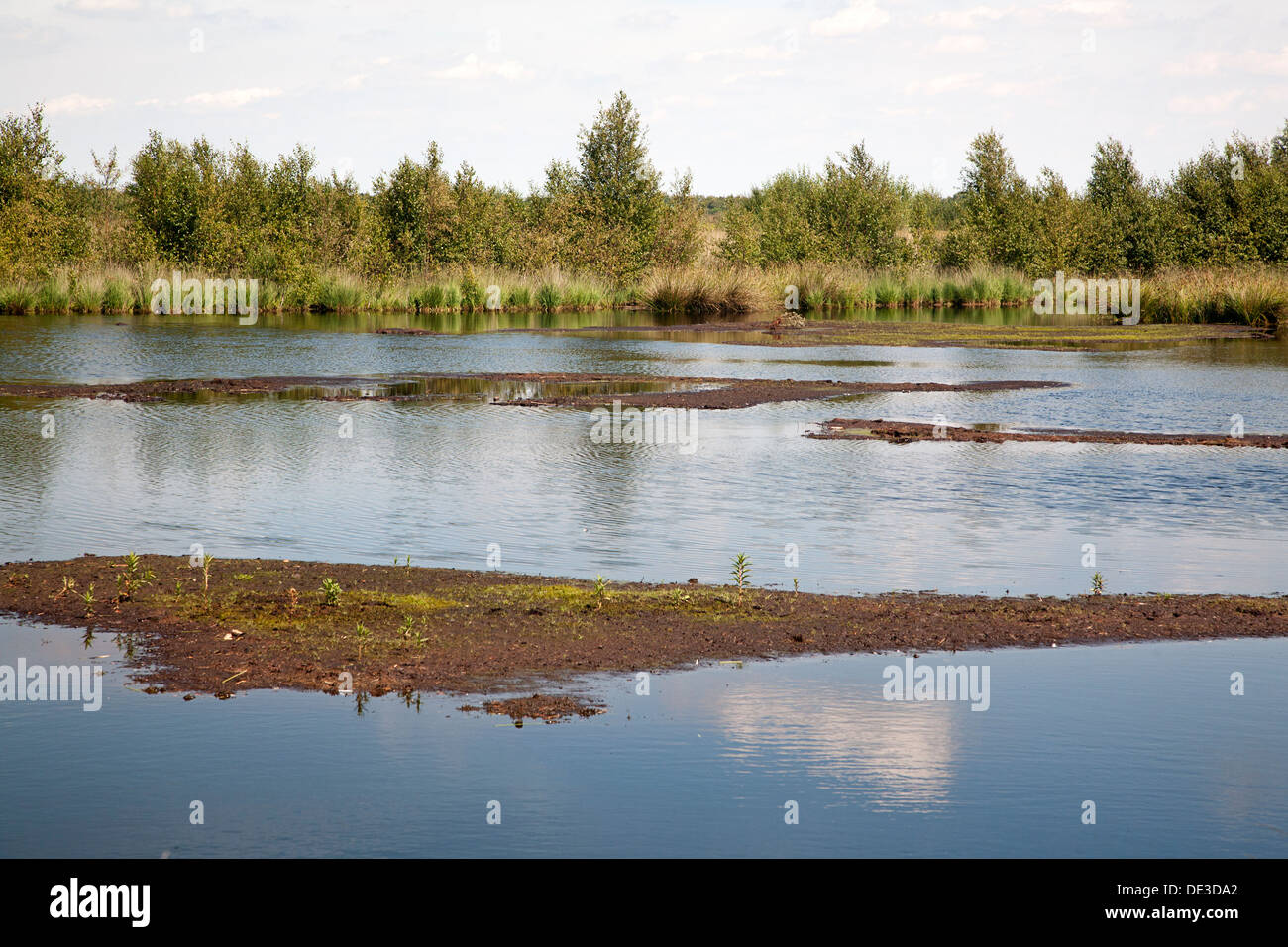 Bargerveen nature reserve hi-res stock photography and images - Alamy