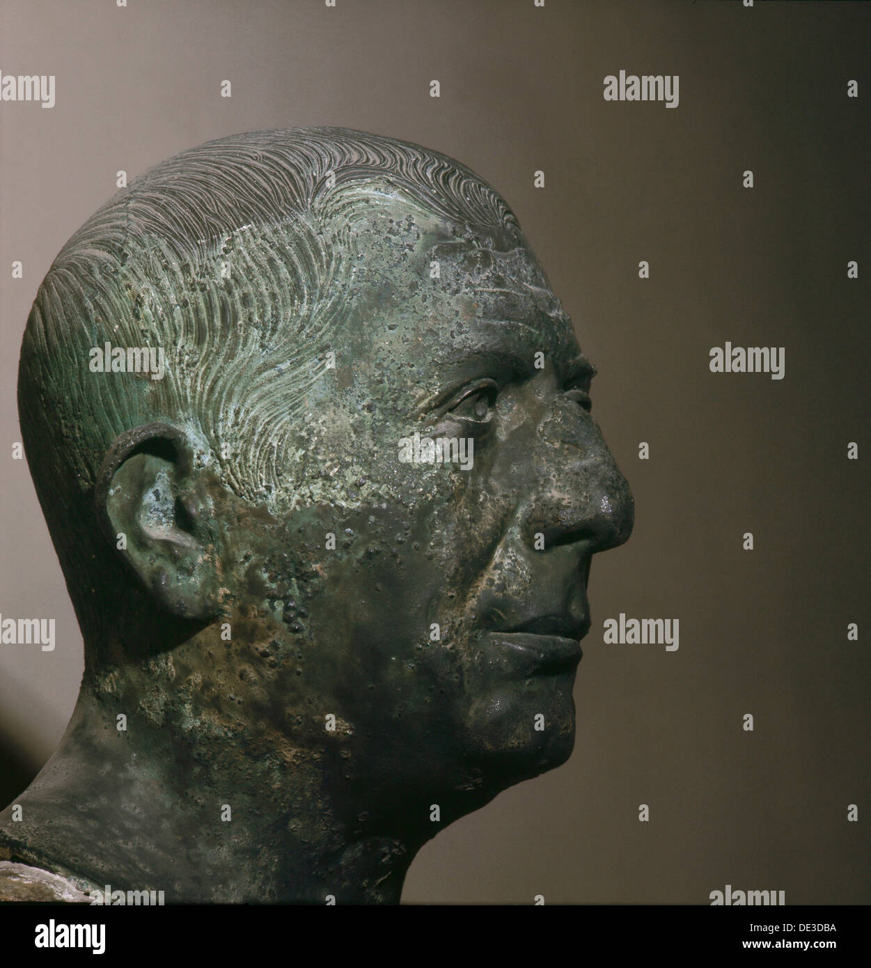 Caecilius hi-res stock photography and images - Alamy