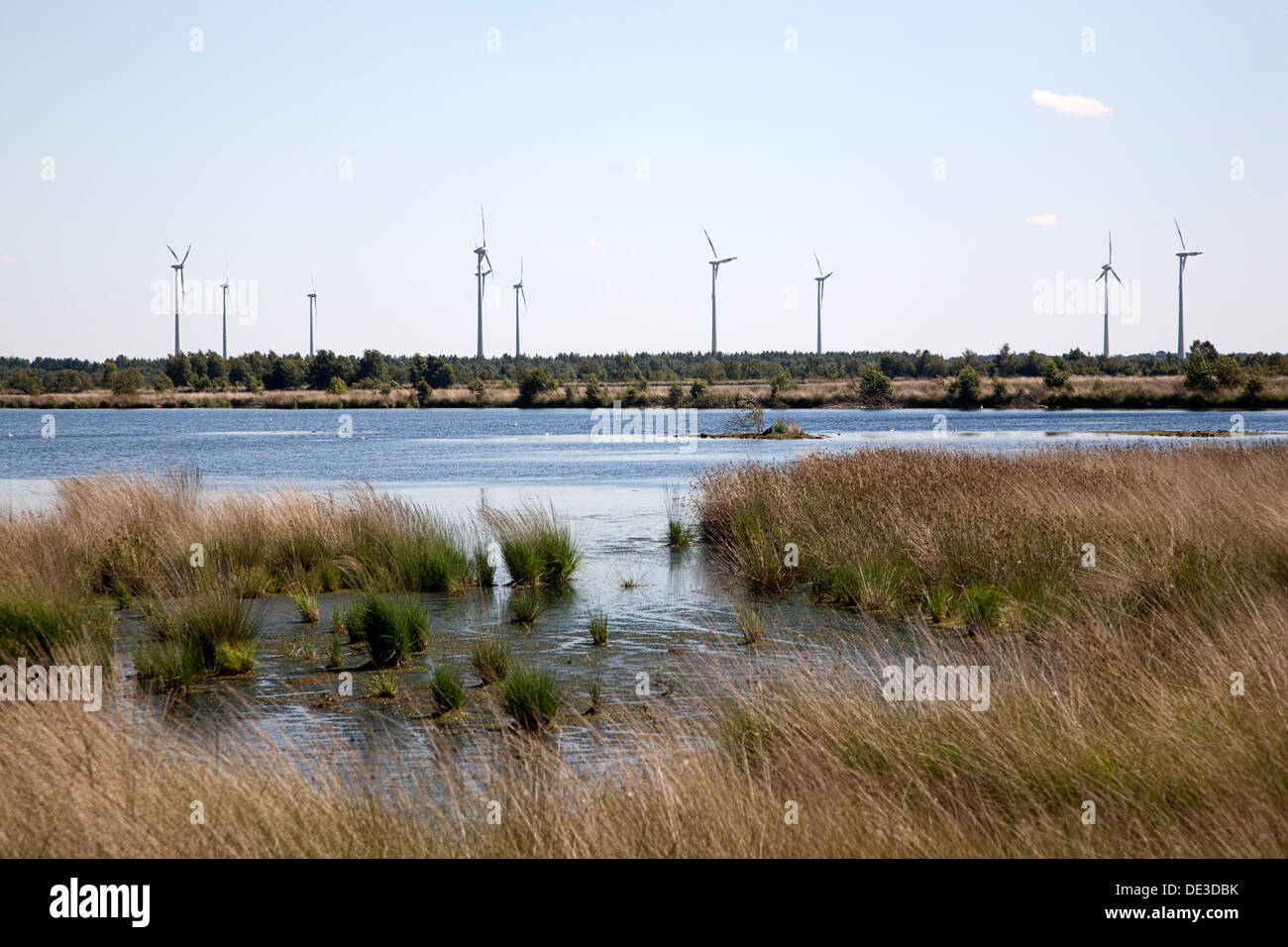 Bog pool with wind farm in background, Bargerveen Nature Reserve, Emmen ...