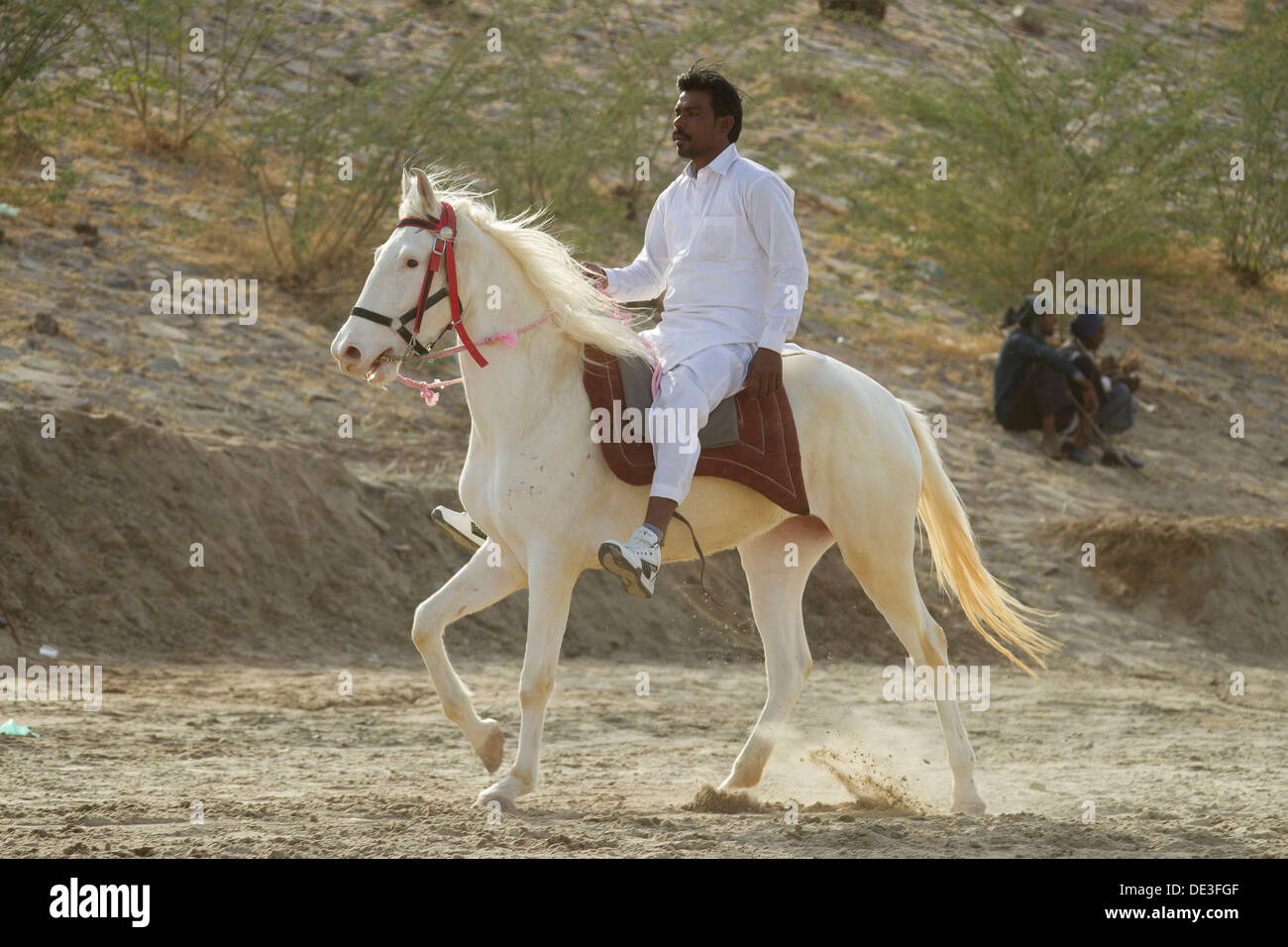 Camel horse riding hi-res stock photography and images - Alamy