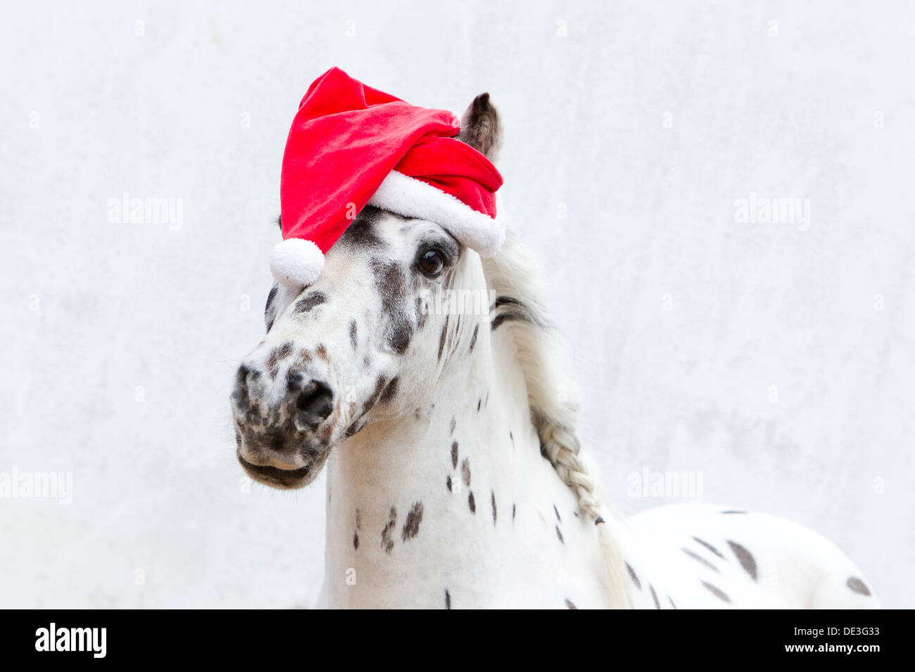 Spotted hat hi-res stock photography and images - Alamy