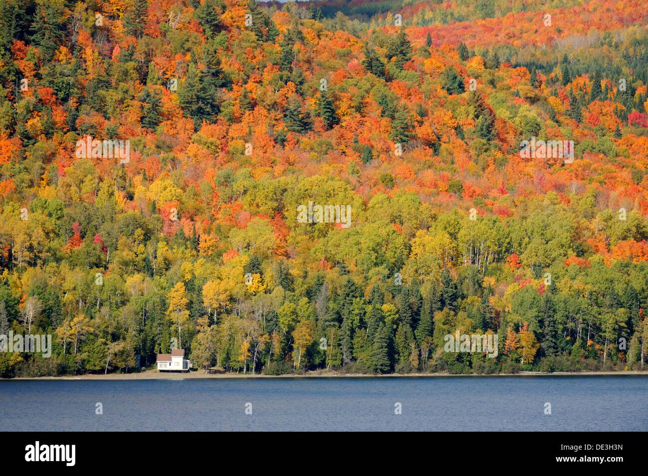 Image in color hi-res stock photography and images - Alamy