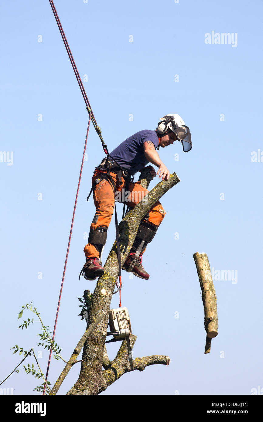 Tree surgeons tools hi-res stock photography and images - Alamy