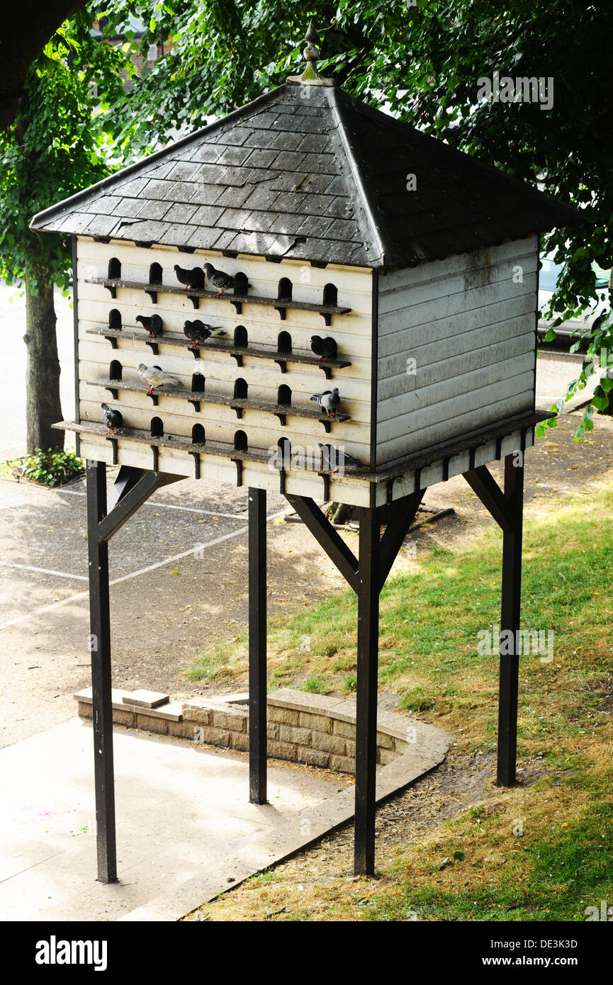 Pigeon roost hi-res stock photography and images - Alamy