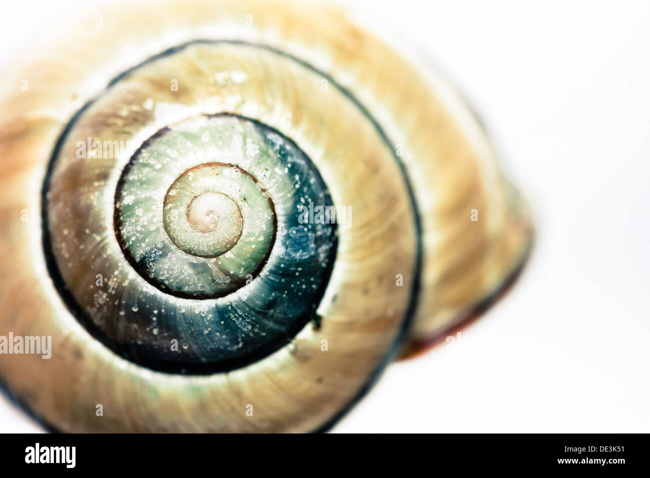 Empty shell house hi-res stock photography and images - Alamy