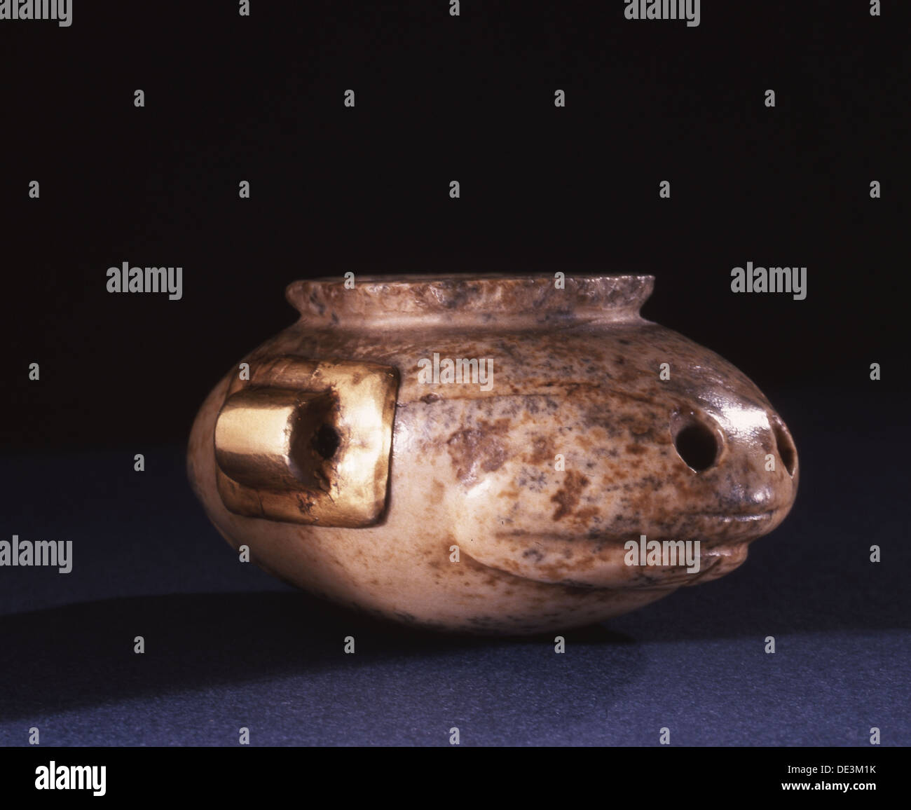 Frog in a bowl hi-res stock photography and images - Alamy