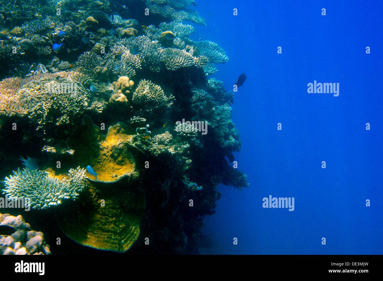 Mayotte comores hi-res stock photography and images - Alamy