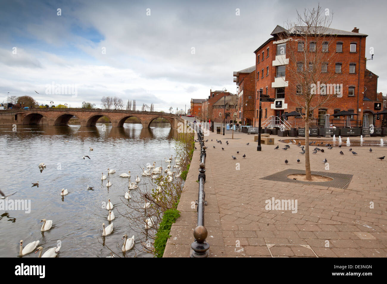 Worcester swans hi-res stock photography and images - Alamy