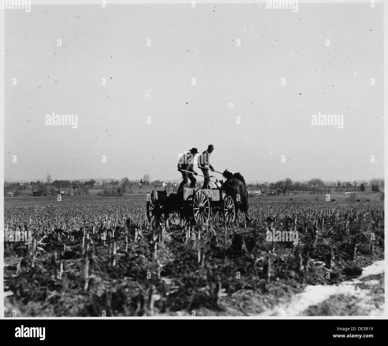 This photograph shows Conservative Mennonites in Lancaster County ...