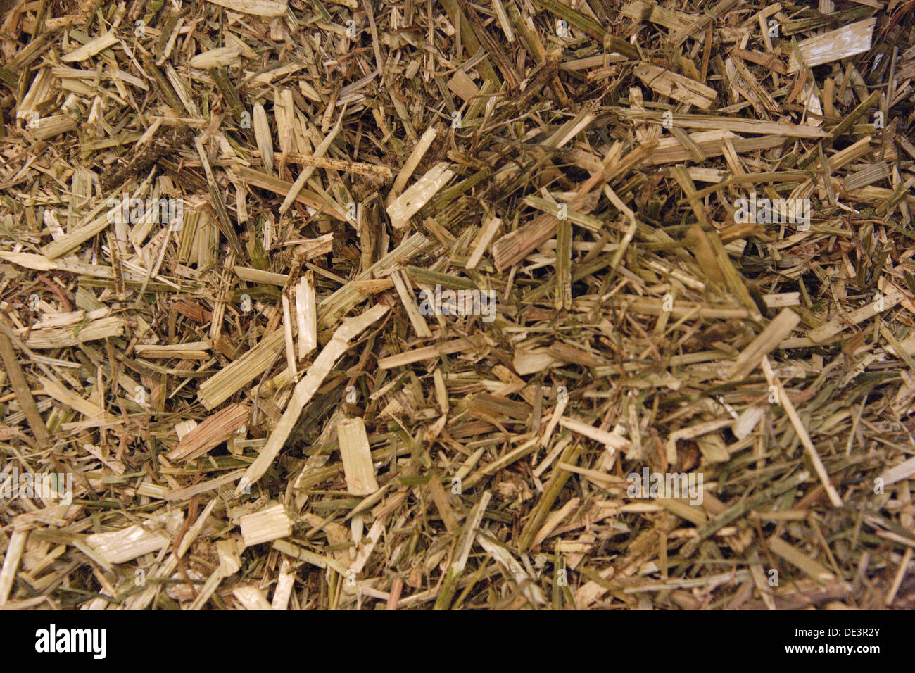 Chaff hi-res stock photography and images - Alamy