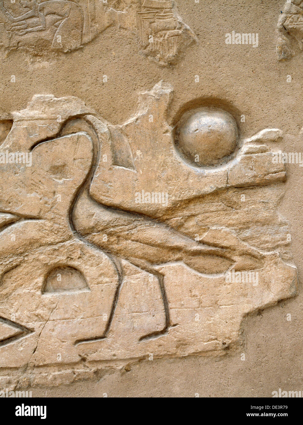 Egyptian ibis hi-res stock photography and images - Alamy