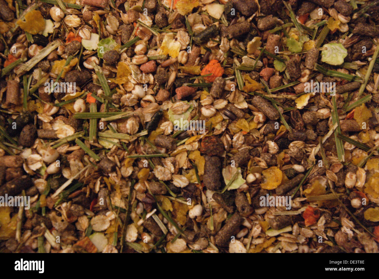 Domestic horse Coarse mix as horse fooder Stock Photo - Alamy