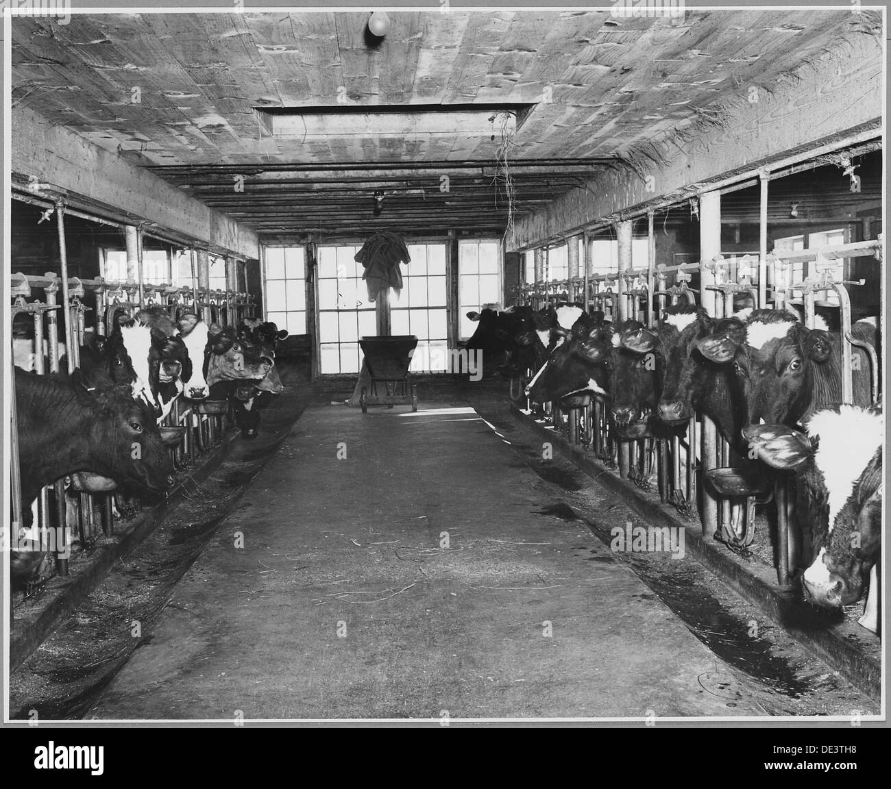 Roscoe county Black and White Stock Photos & Images - Alamy