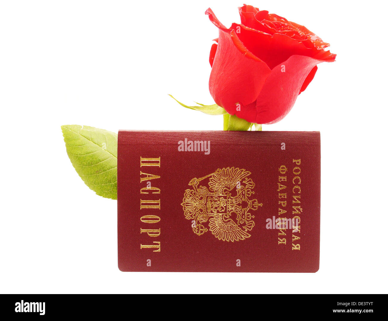 Plant Passport Blumen