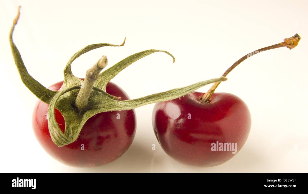 Two horizontal stems hi-res stock photography and images - Alamy