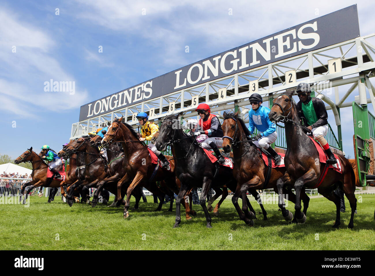 Thoroughbred horse race start hi-res stock photography and images - Alamy