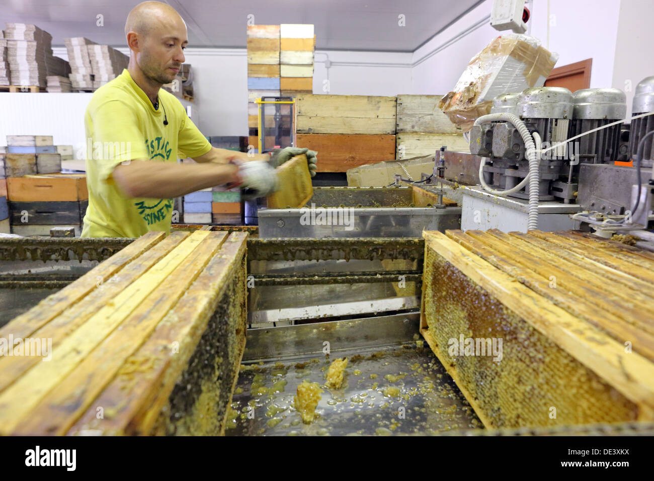 Castel Giorgio, Italy, beekeepers in the honey processing Stock Photo ...