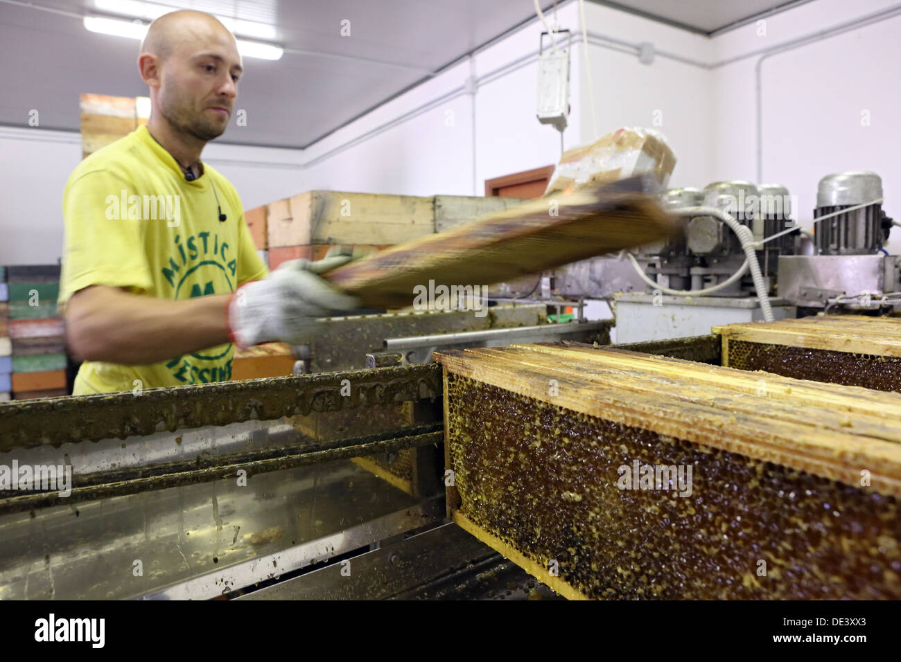 Castel Giorgio, Italy, beekeepers in the honey processing Stock Photo ...