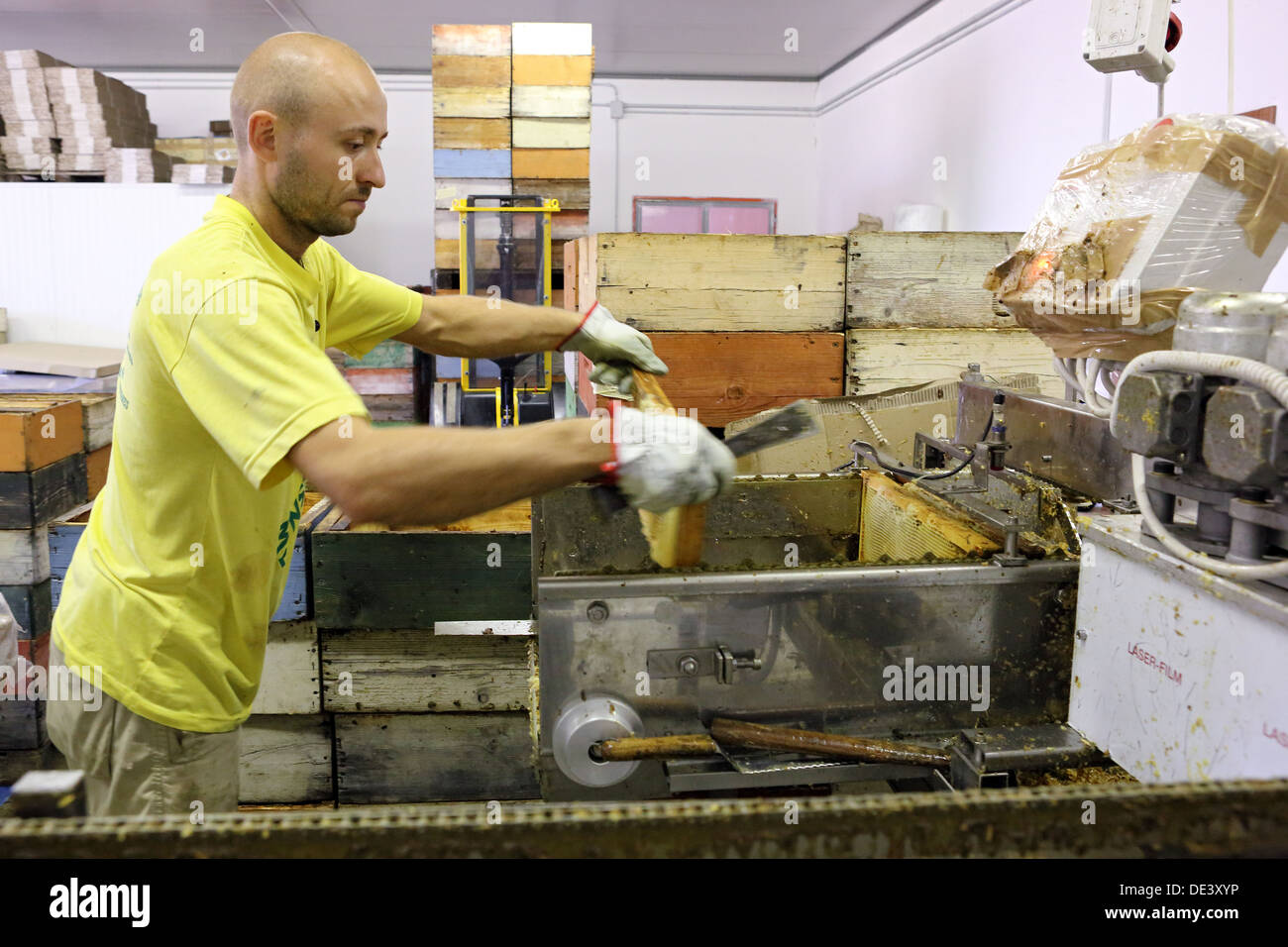 Castel Giorgio, Italy, beekeepers in the honey processing Stock Photo ...