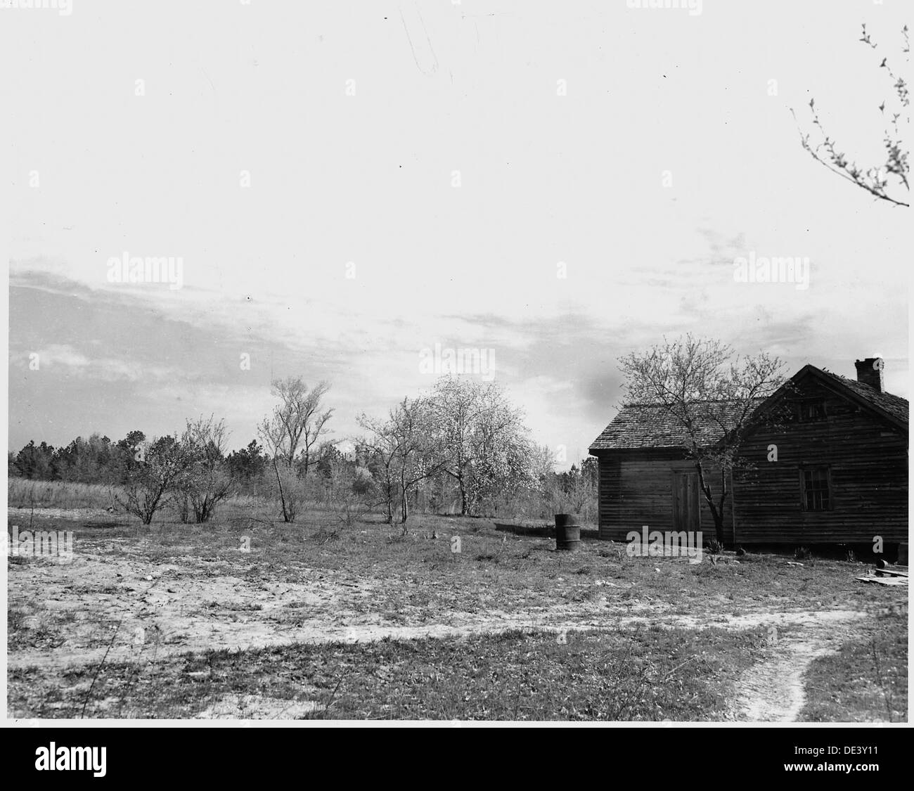 The photograph depicts a temporary farm in Newberry County, South ...