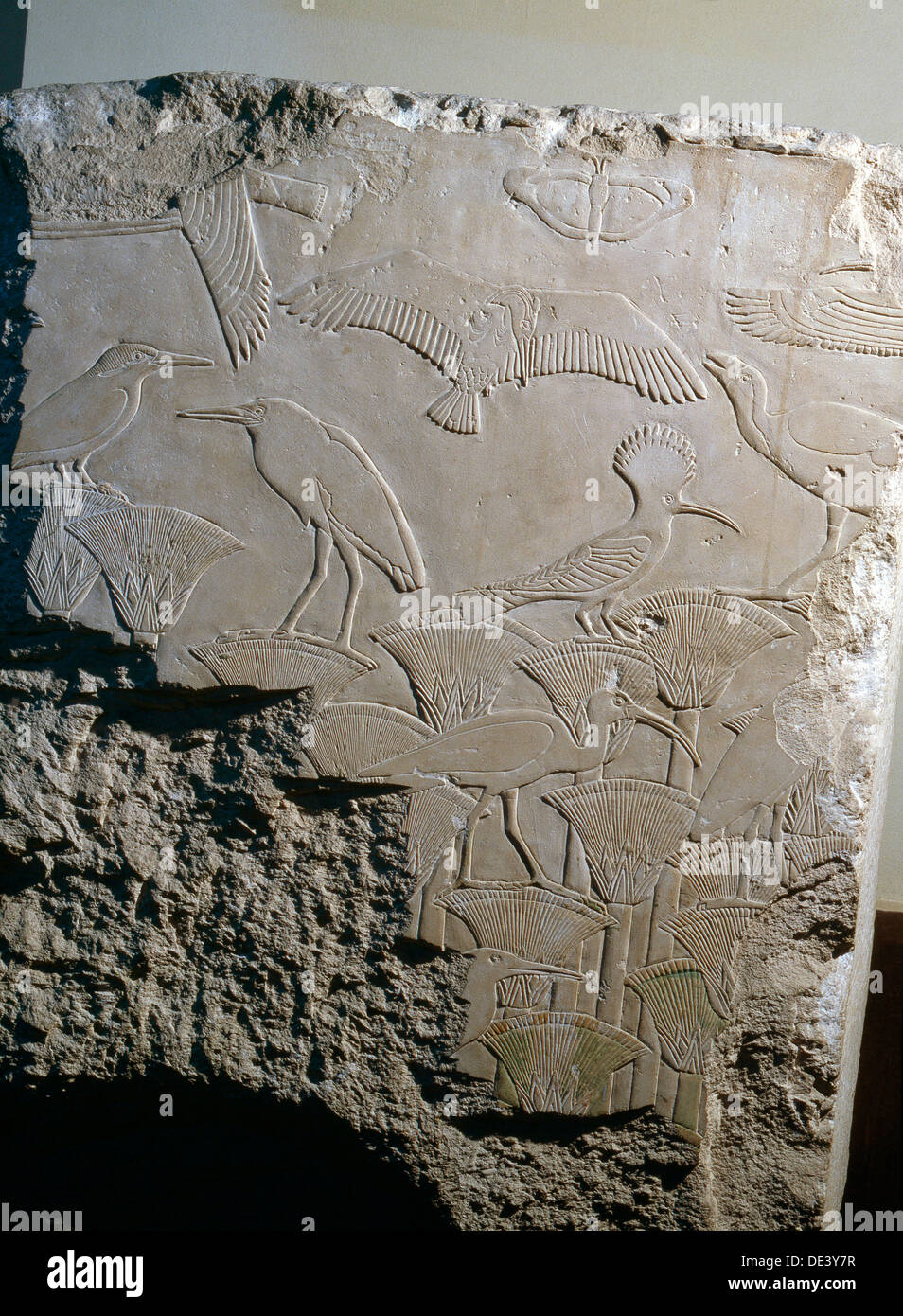 Saqqara tomb papyrus hi-res stock photography and images - Alamy