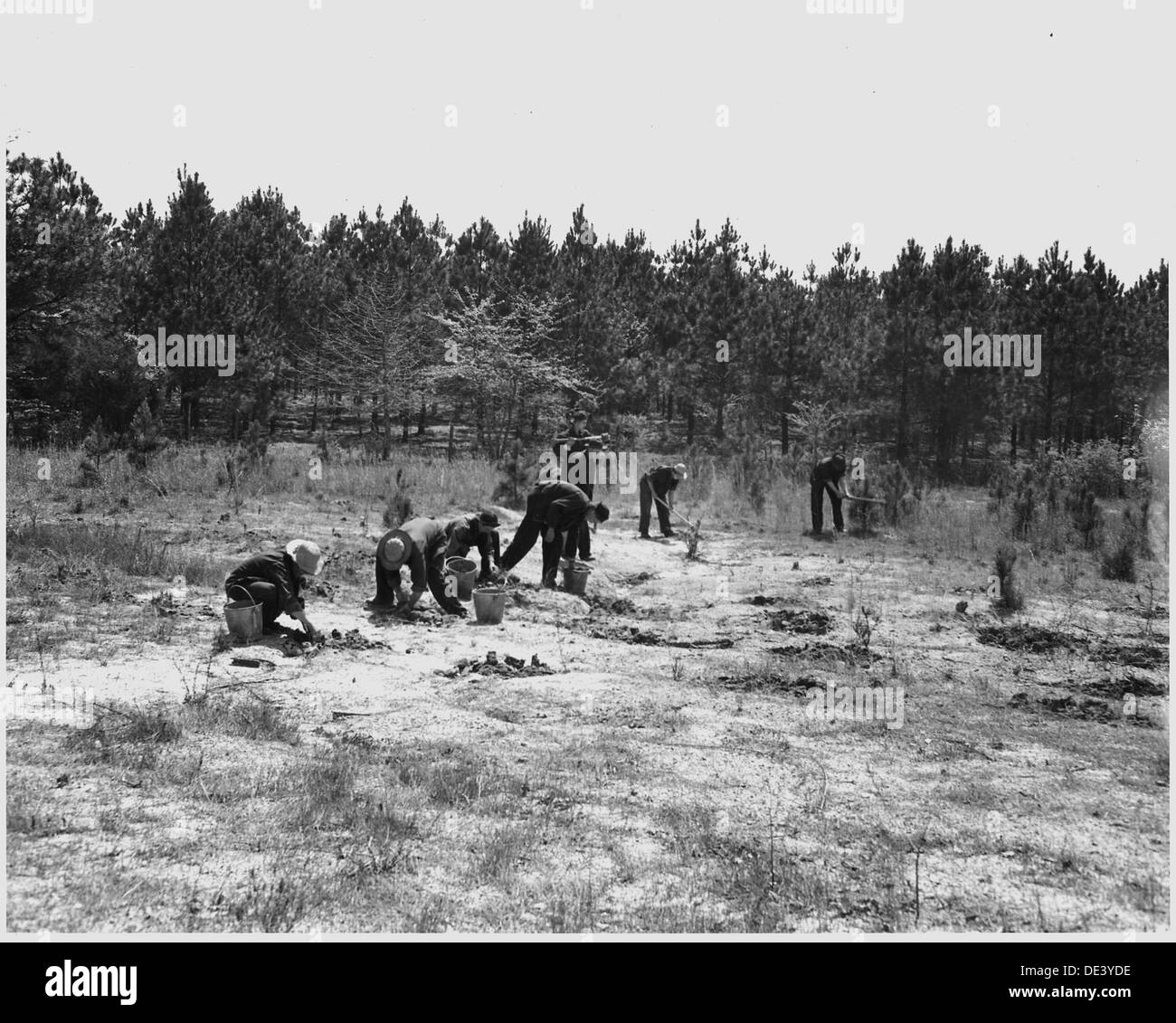 Soil conservation 1930s hi-res stock photography and images - Alamy