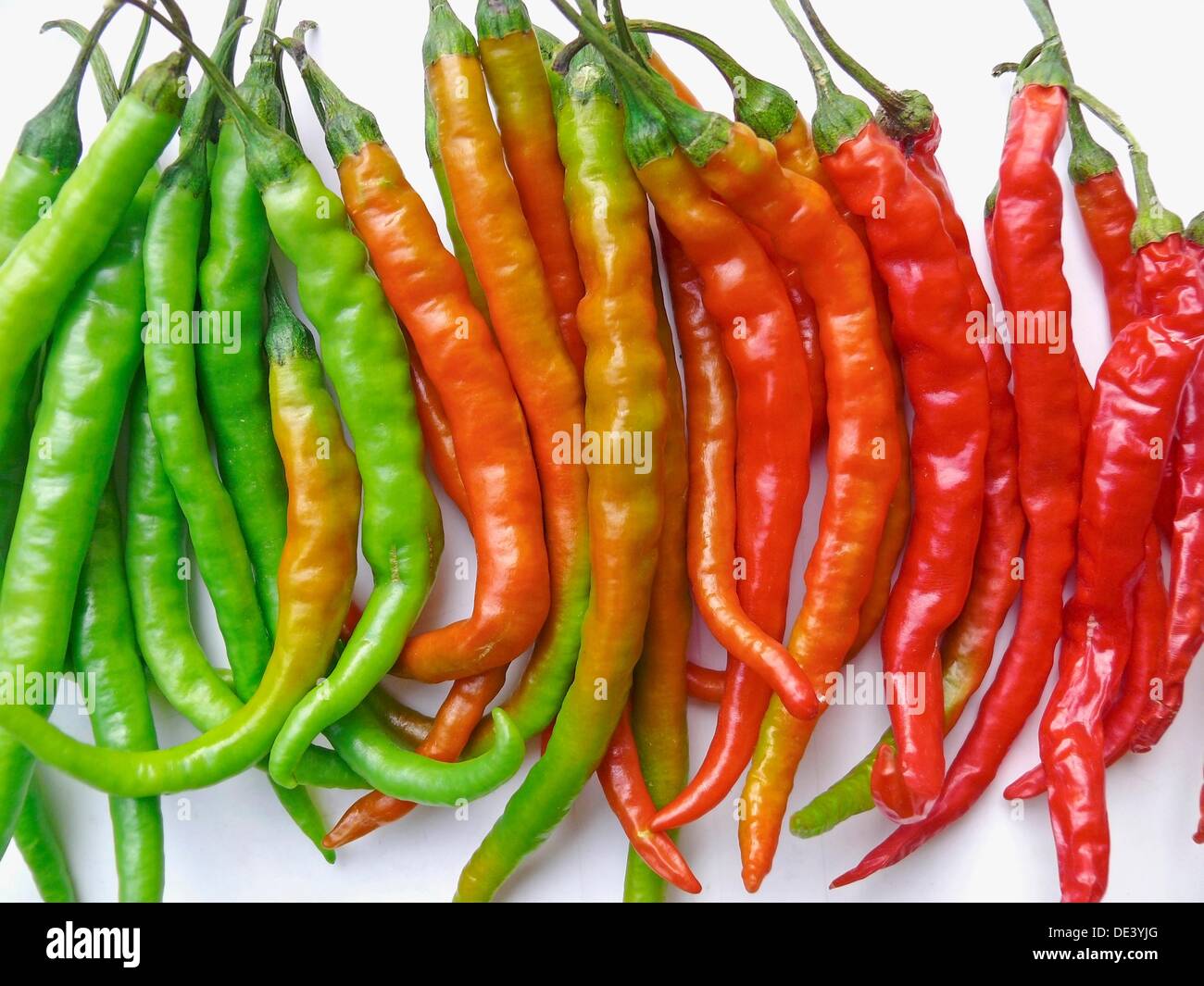 Red And Green Common Chili High Resolution Stock Photography and Images ...
