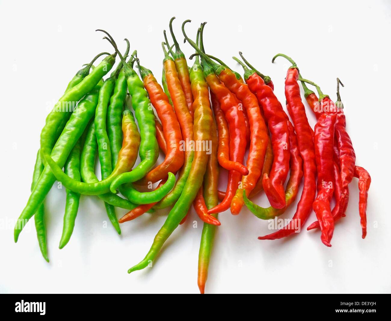 Red And Green Common Chili High Resolution Stock Photography and Images ...