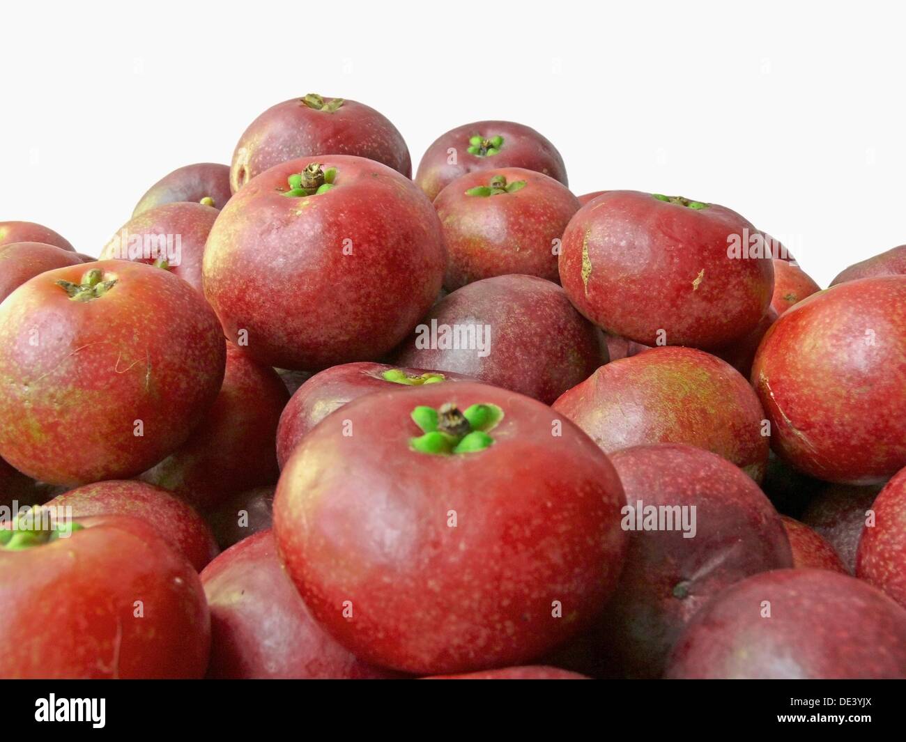 Garcinia indica fruit hi-res stock photography and images - Alamy