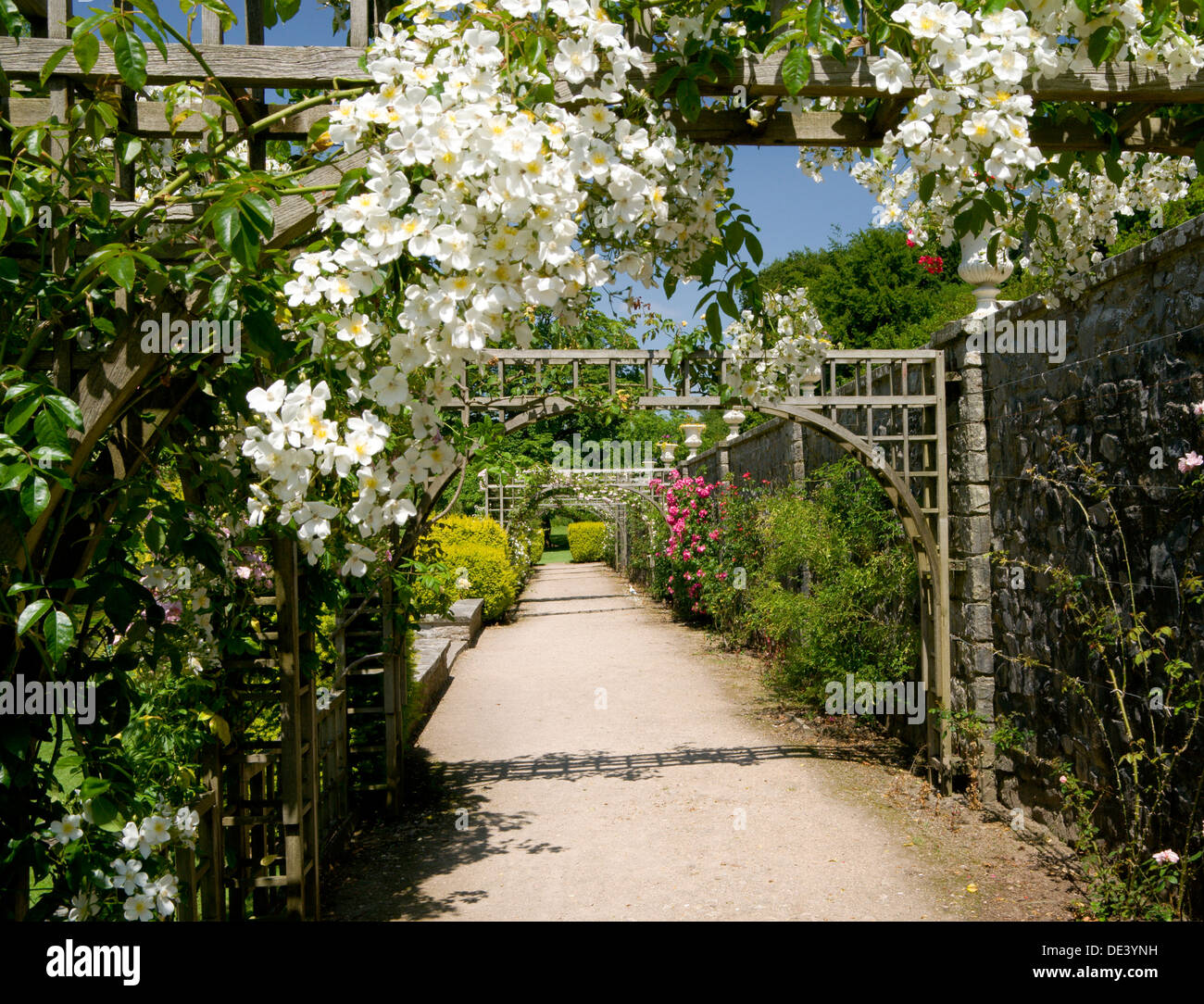 gardens of national history museum amgueddfa werin cymru st fagans ...