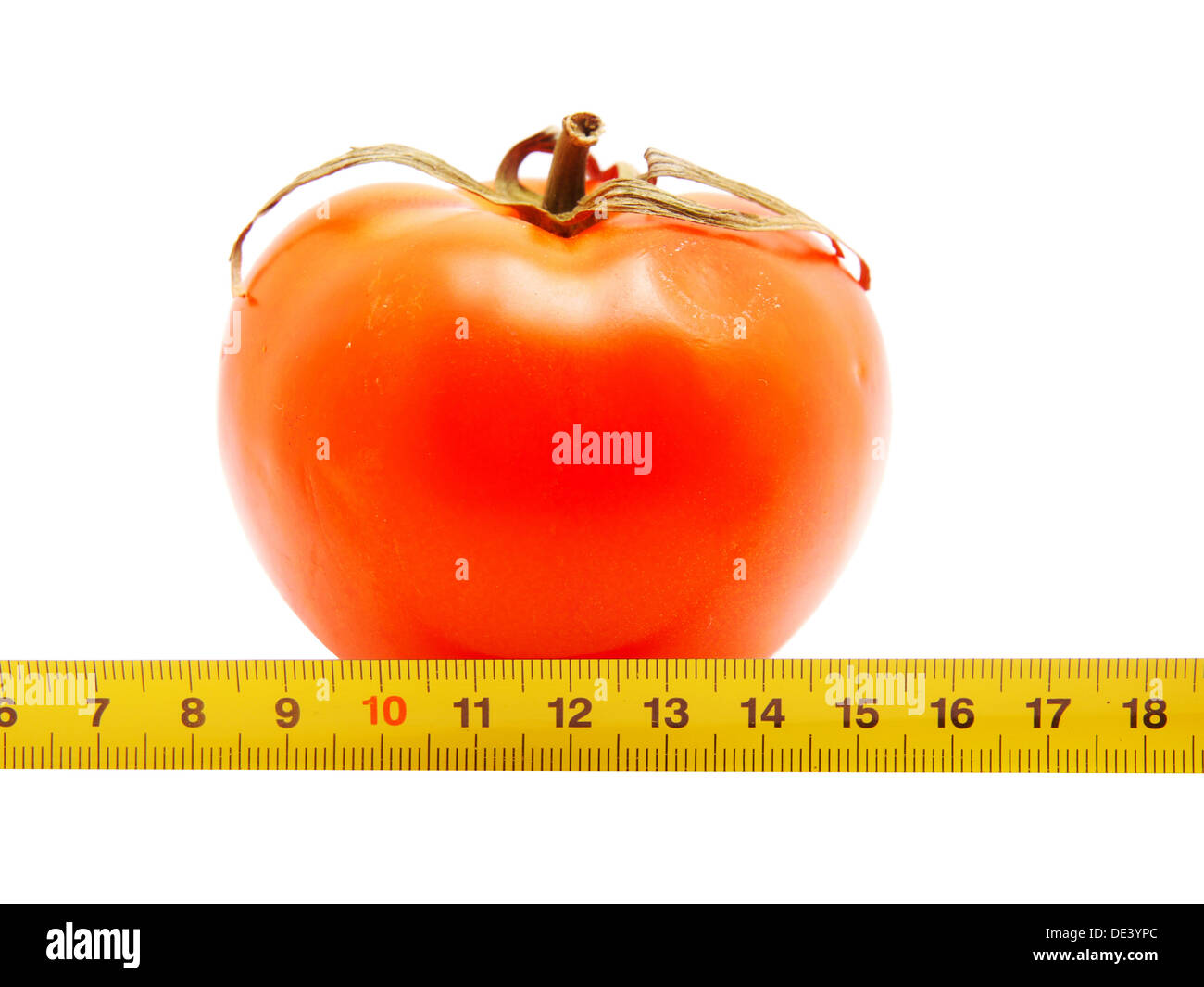 Tomato and ruler on a white background Stock Photo - Alamy