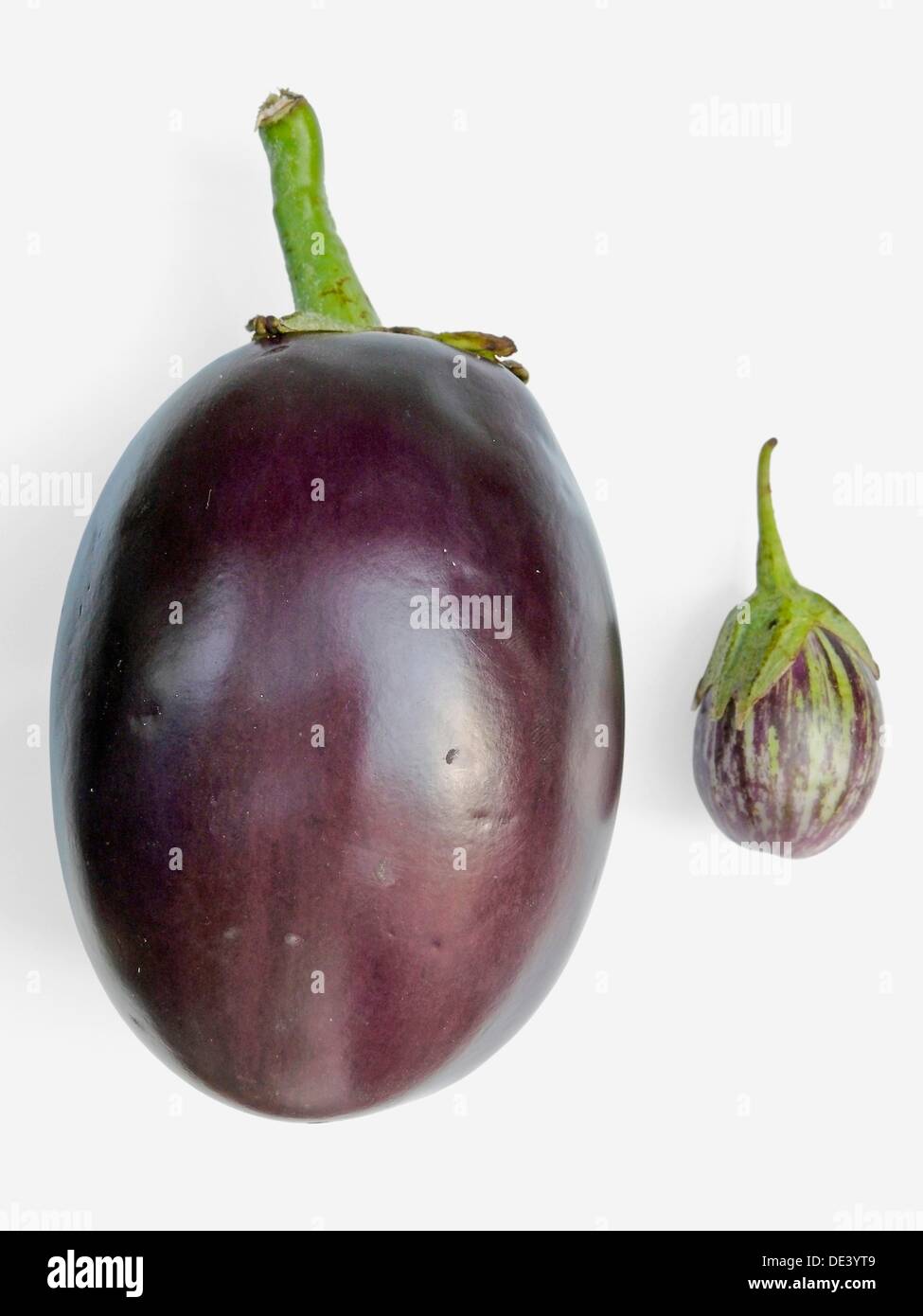 Fresh brinjals hi-res stock photography and images - Alamy