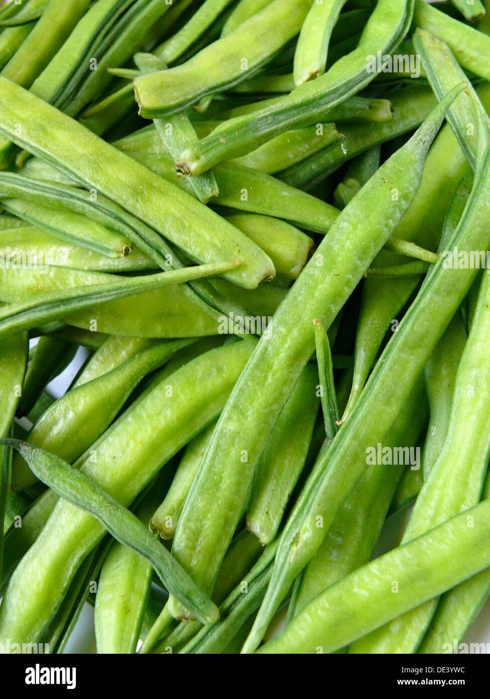 Guar vegetable cyamopsis tetragonolobus hi-res stock photography and ...